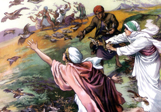 Sermon - The Quails: Turning a Blessing into a Curse - Valentin Rusu